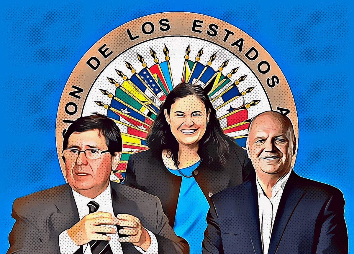 Ellos son los observadores designados por OEA